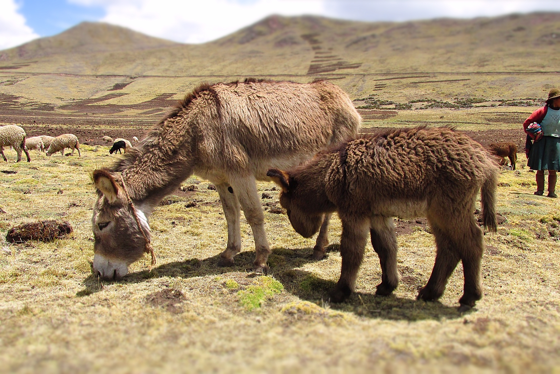 My Photography – Tony Dunnell